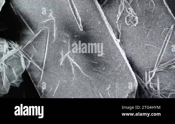 Scanning Electron Microscope (SEM) showing a Structure at Magnification ...