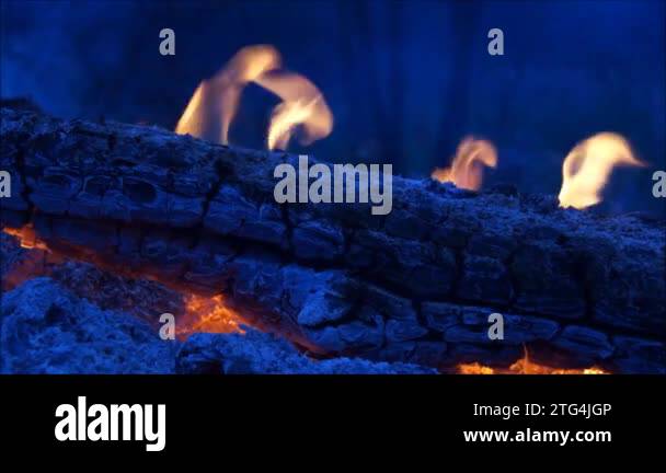 Burnt photo texture Stock Videos & Footage - HD and 4K Video Clips - Alamy