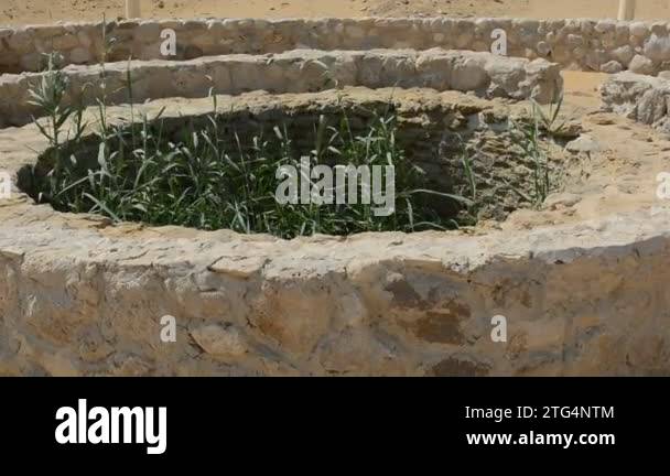 Prophet Moses Springs, Water wells and palms in Sinai Peninsula, Ras ...