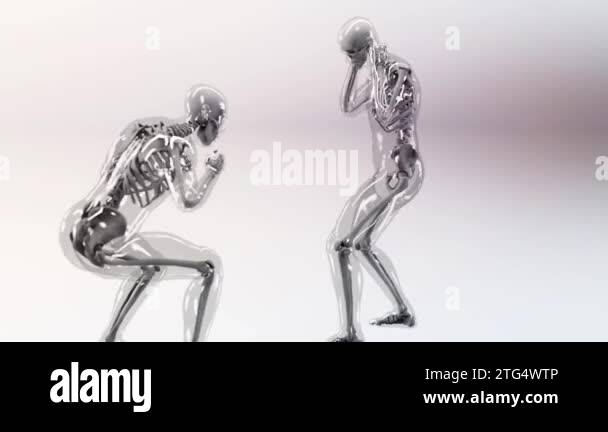 anatomy animation of Two male boxers fight, Boxing, exercise, extreme sport, gym, human anatomy ...