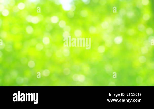 Loop Beauty in Nature. Beautiful blurry green vibrant bokeh nature ...