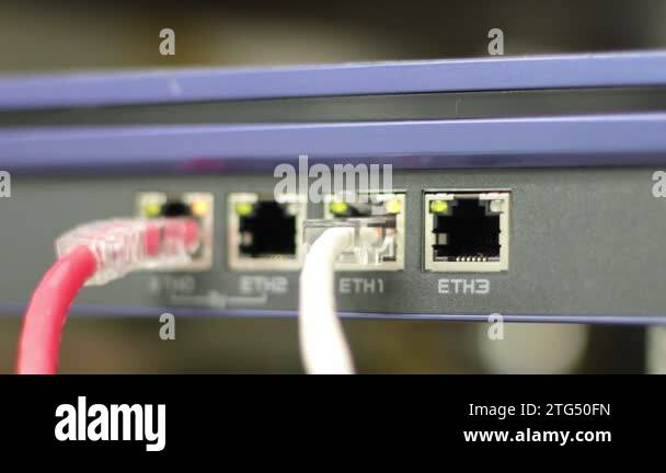 The network cables to connect the port of a switch to connect internet network, concept ...