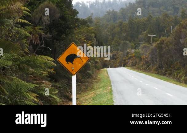 Shot kiwi road sign Stock Videos & Footage - HD and 4K Video Clips - Alamy
