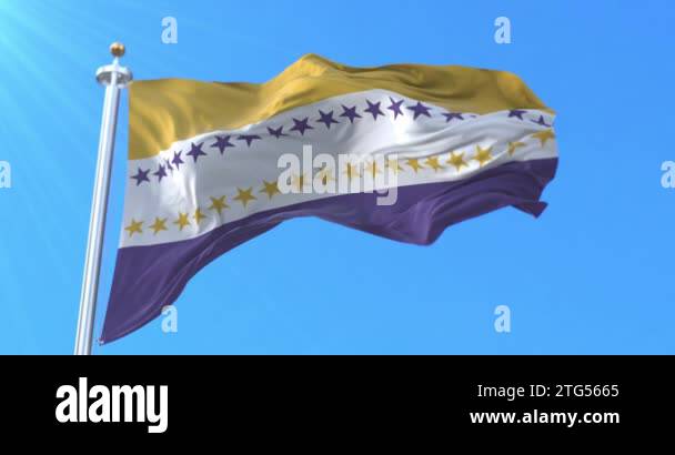 Suffrage flag Stock Videos & Footage - HD and 4K Video Clips - Alamy