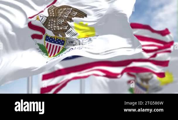 Seamless loop in slow motion with two Illinois state flags waving along ...
