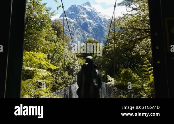 Milford track fiordland Stock Videos & Footage - HD and 4K Video Clips ...