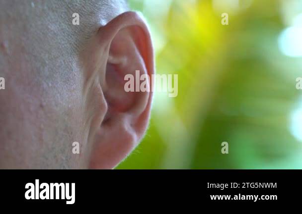 Man moves her ears on nature background. Adult male ear close up. Man ...