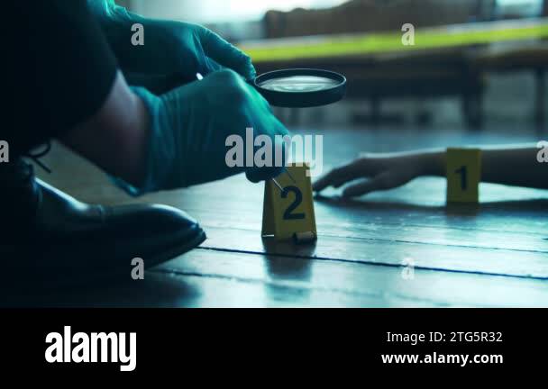 Detective Collecting Evidence in a Crime Scene. Forensic Specialists ...