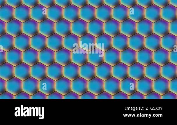 Animating Abstract Gradients Background Color With of Blue Polygon ... Animating Abstract Gradients Background Color With of Blue Polygon ...