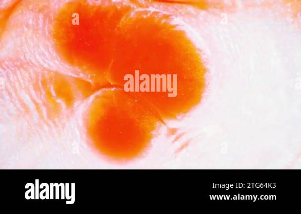 Abstract pearly white liquid texture with bright orange elements ...