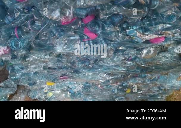 Plastic bottles collected in the sea and stacked for recycling - plastic island in the oceans ...
