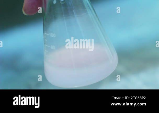 Chemical reaction in flask. Shaking liquid in flask. Laboratory ...
