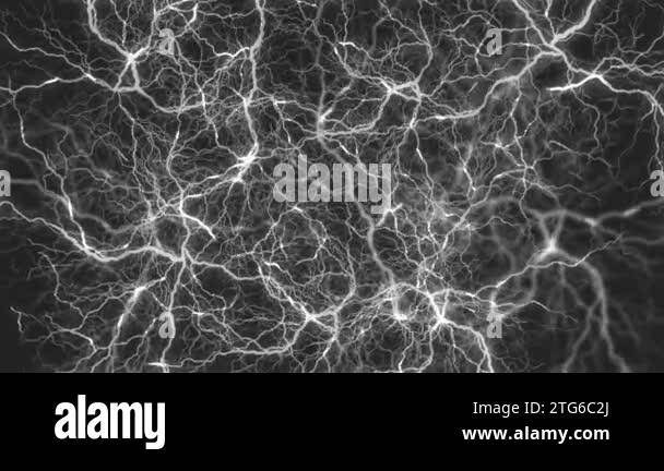 Tree network with impulse moving animation. Nerve or vessel tissue net ...