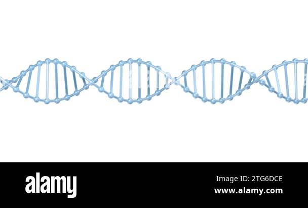 A blue DNA spiral rotation isolated on white background.3d illustration ...