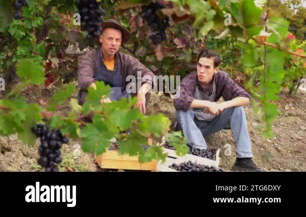 French wine family Stock Videos & Footage - HD and 4K Video Clips - Alamy
