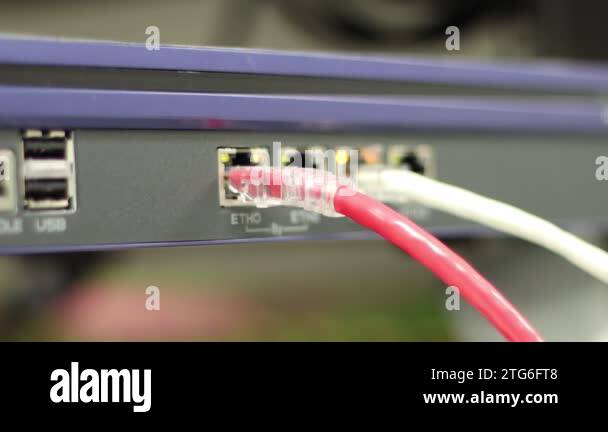 The network cables to connect the port of a switch to connect internet network, concept ...