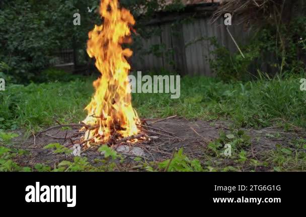 Man throws dry hay into a bonfire after which thick smoke and high ...