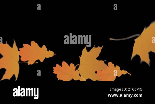 Autumn Leaves falling down with number 2023 and black background Stock ...