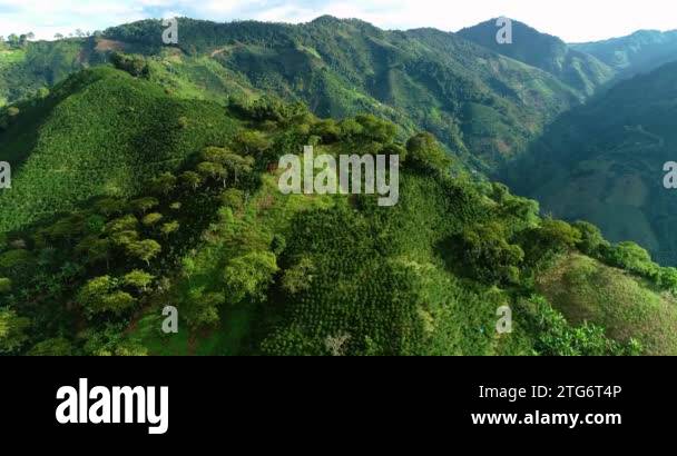 Green scenes Stock Videos & Footage - HD and 4K Video Clips - Alamy