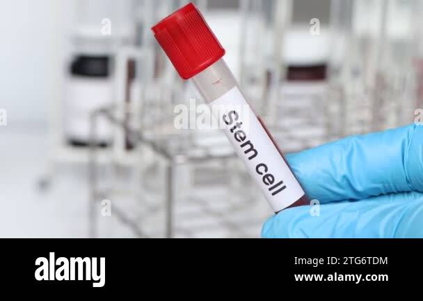 Laboratory stem cell Stock Videos & Footage - HD and 4K Video Clips - Alamy