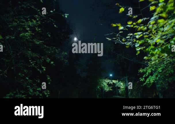 cinematic frame, night sky with moon, horror. halloween. real evil ...