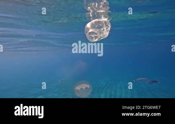 Underwater - a plastic bottle thrown away by people floats, surrounded ...