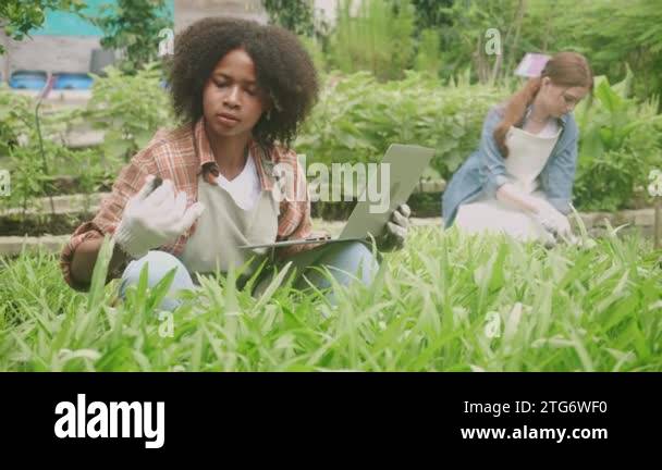 Using boy girl child children Stock Videos & Footage - HD and 4K Video Clips - Alamy