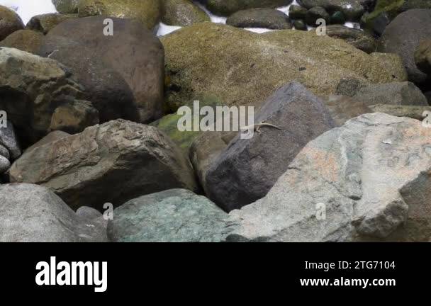 Chasing stones Stock Videos & Footage - HD and 4K Video Clips - Alamy
