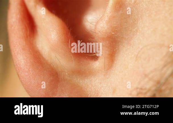 Profile of a human ear Stock Videos & Footage - HD and 4K Video Clips ...