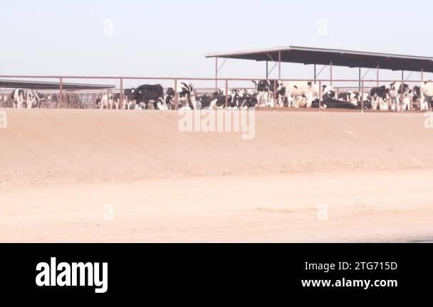 Milk shed Stock Videos & Footage - HD and 4K Video Clips - Alamy