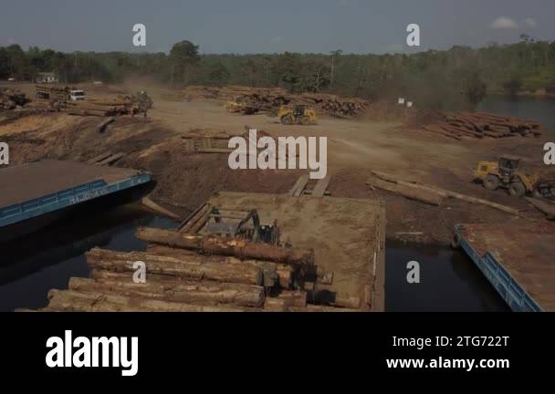 Deforestation by large logging operations in Brazil's Amazon rainforest ...
