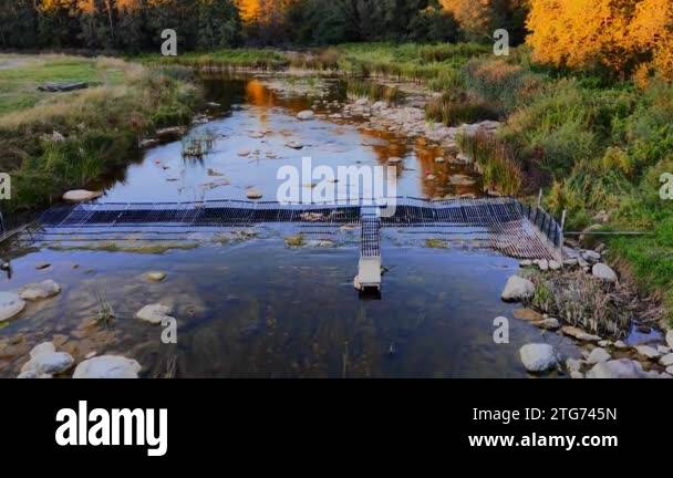 Migration monitoring Stock Videos & Footage - HD and 4K Video Clips - Alamy