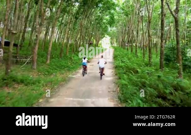 a couple of men and women on bicycle in the jungle of Koh Yao Yai Thailand, men and woman ...
