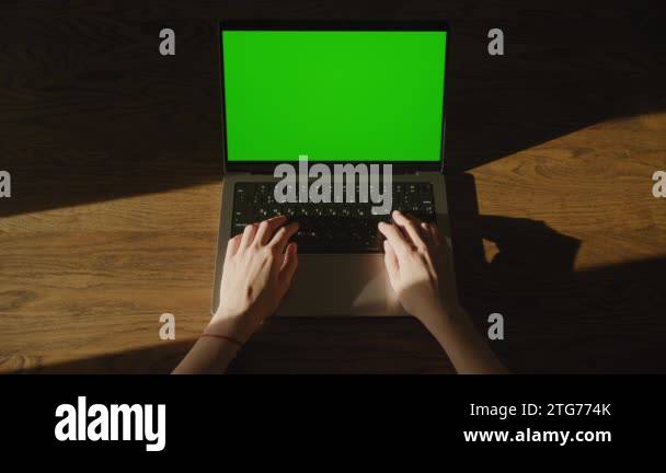 Woman hands entering the frame and resting on a laptop computer ...