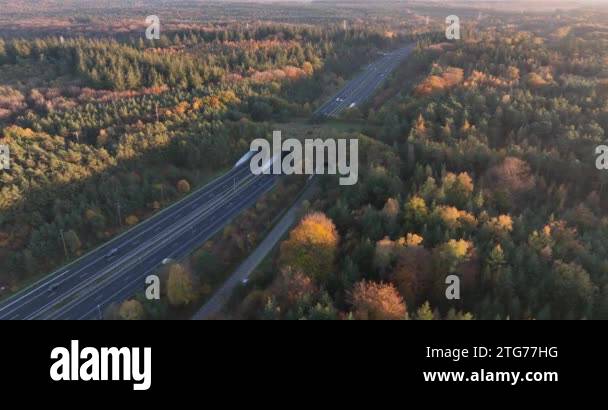 Ecoduct, ecopassage, nature bridge or game changeover. Infrastructure ...