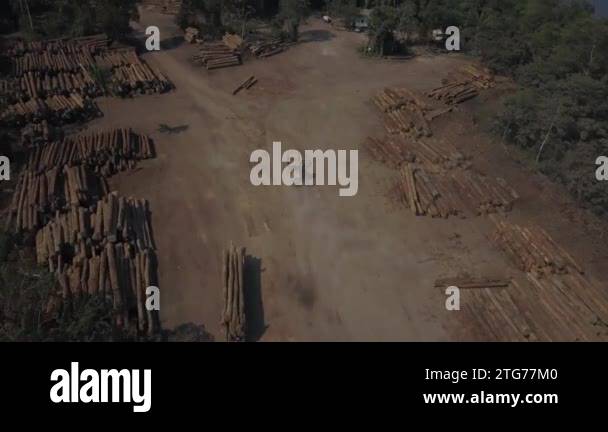 Amazon rainforest logging Stock Videos & Footage - HD and 4K Video ...