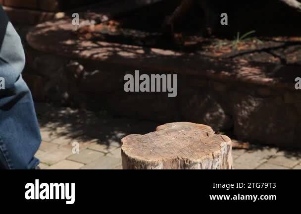 Chopping firewood with ax Stock Videos & Footage - HD and 4K Video ...