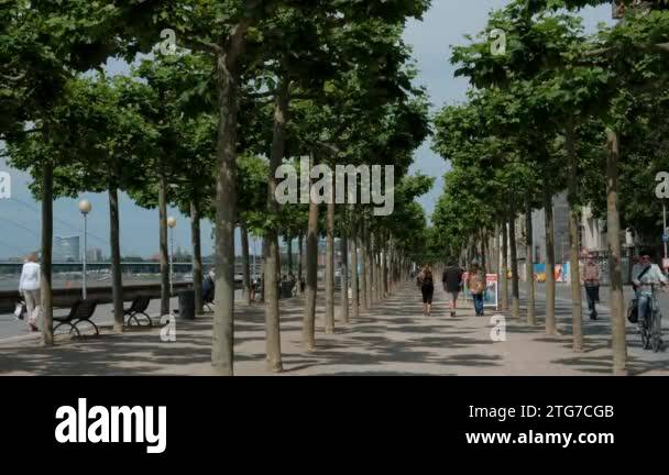 Rhine river walk Stock Videos & Footage - HD and 4K Video Clips - Alamy