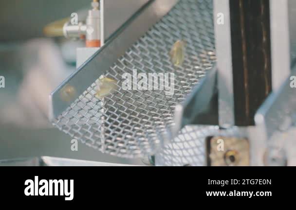 Shell production process Stock Videos & Footage - HD and 4K Video Clips ...