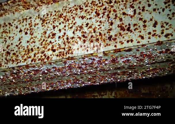 Shell on rusty surface Stock Videos & Footage - HD and 4K Video Clips ...