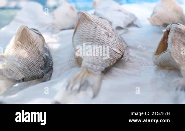 Dried fish carcass on the table in the fish market. Consumption of ...