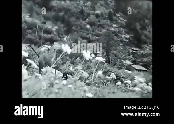 60s black white Stock Videos & Footage - HD and 4K Video Clips - Alamy