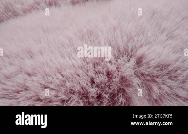 Texture of soft fluffy pink fur fabric. Faux hairy fur. Fluffy fake fur ...