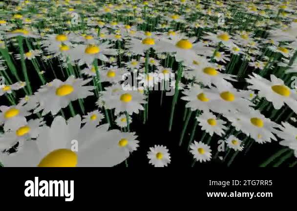 Motion Background with rotation inside the flower field. 3D Render ...