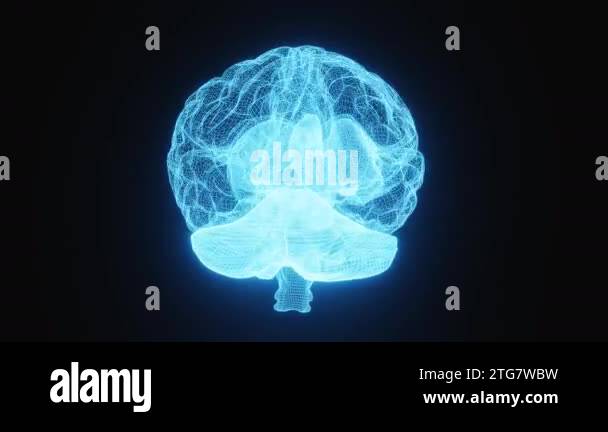 Seamless looping glowing X-ray image of human brain motion rotating 360 degrees angle in blue ...