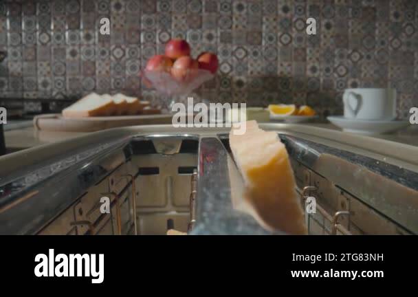 Sliced white bread popping out of a toaster on the kitchen table ...