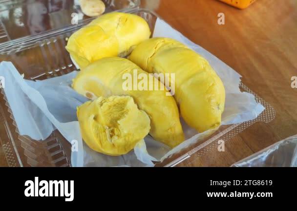Gardener man cut open durian, open flesh of yummy organic yellow yummy ...