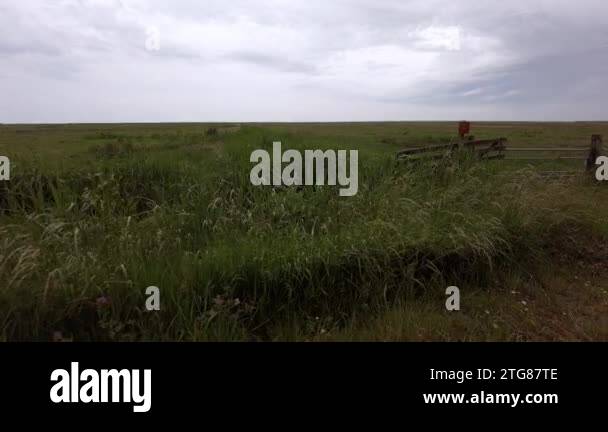 Close up view: Walking along the beautiful scenic rural path along a ...