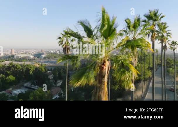 LA city of dreams cityscape view, aerial 4K summer background ...