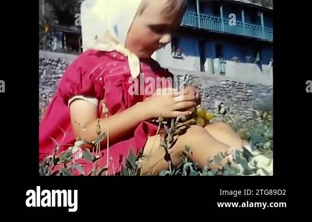 trasquera, italy june 17 1960:little girl eating grapes in the ...